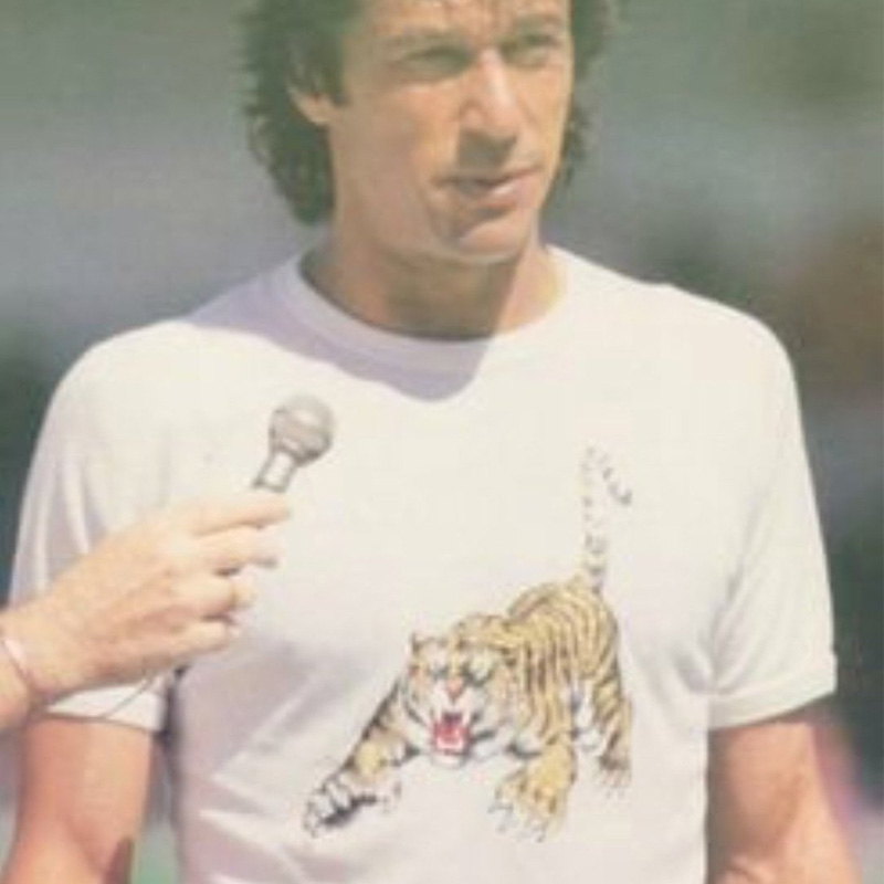 Imran Khan Cornered Tiger T-Shirt - Digitalprintcustom.com